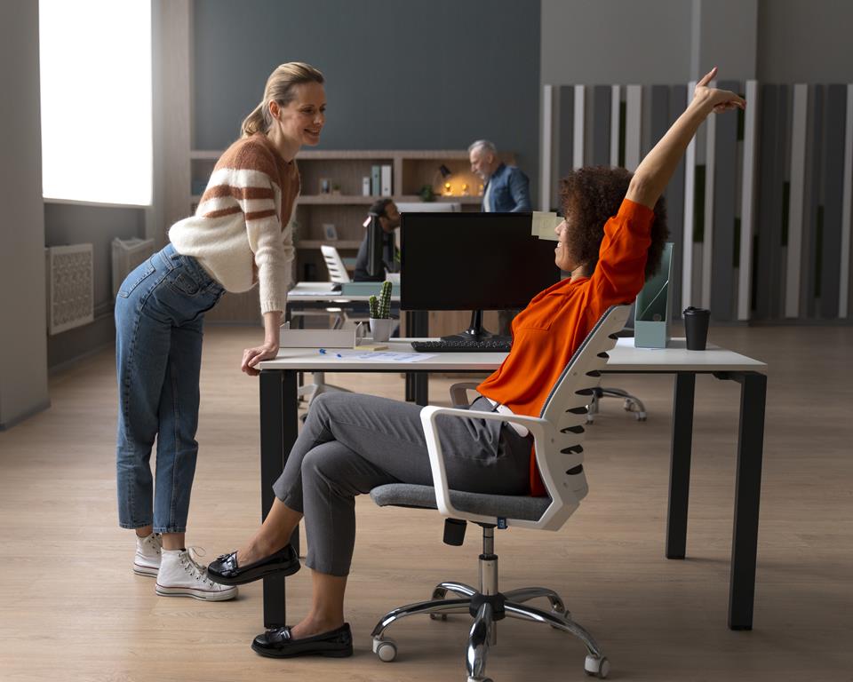 Melhorias ergonômicas no ambiente de trabalho | Lady
